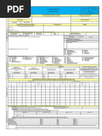 BMP MIN CHK G 2008 Daily Blasting Inspection | PDF