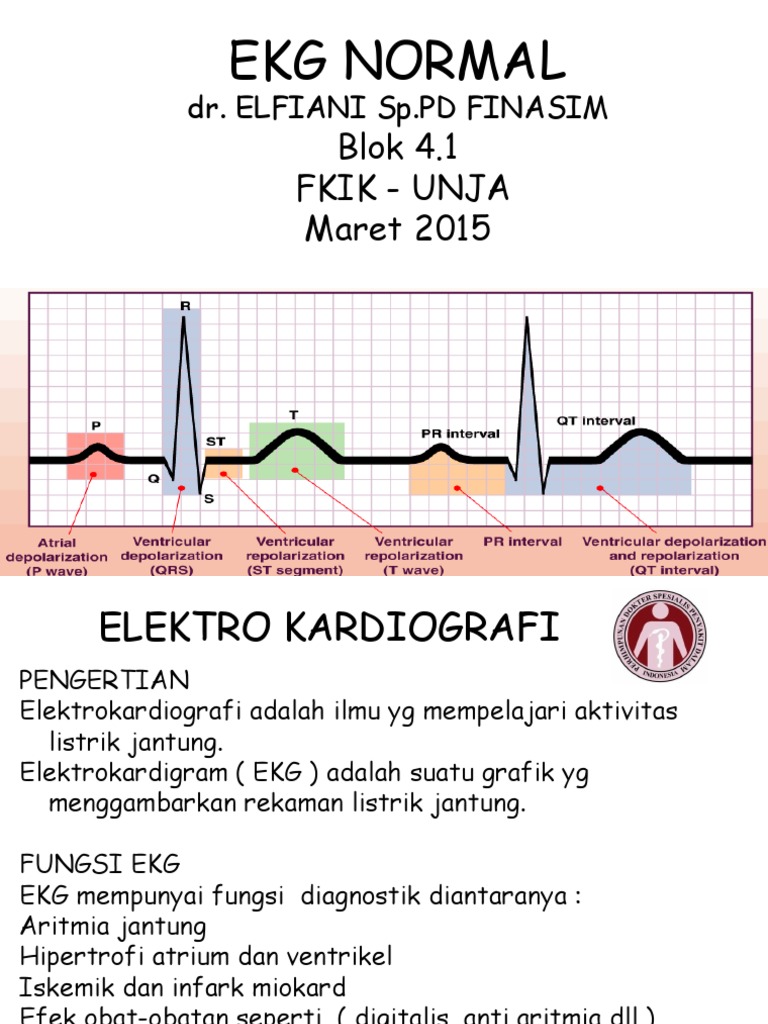 32.ekg Normal | PDF