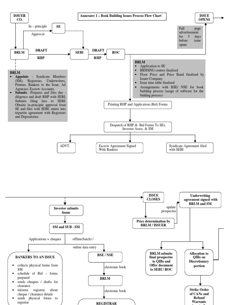 Book Building Process | PDF | Financial Economics | Market (Economics)