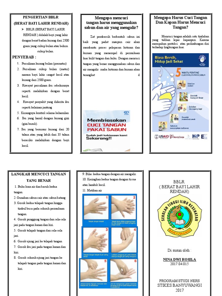 Leaflet BBLR | PDF