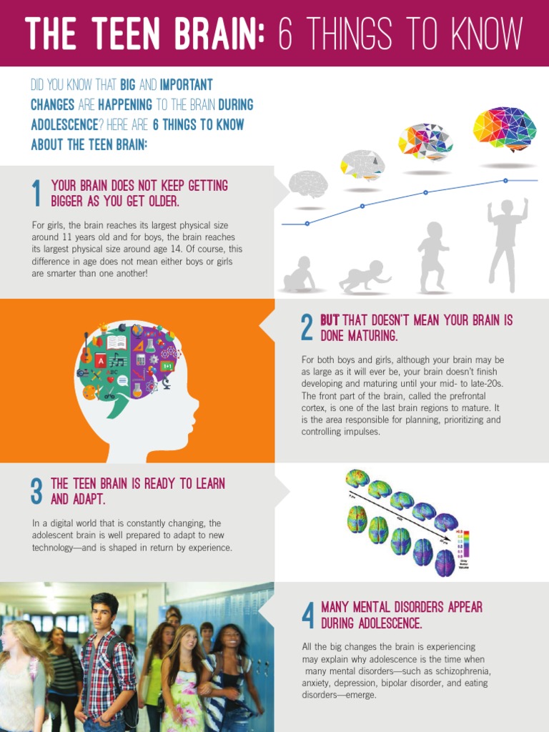 The Teen Brain 6 Things To Know | PDF | Adolescence | Sleep