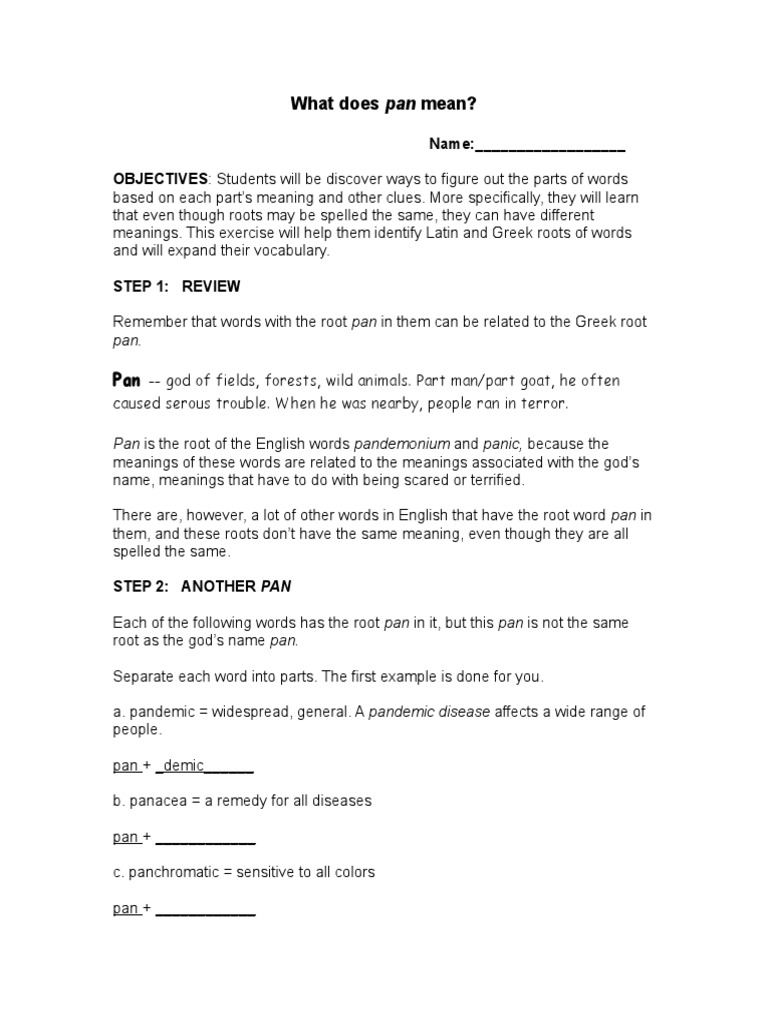 What Does Pan Mean | PDF