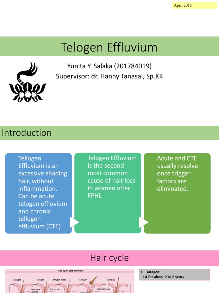 Telogen Effluvium | PDF | Hair Loss | Medical Specialties