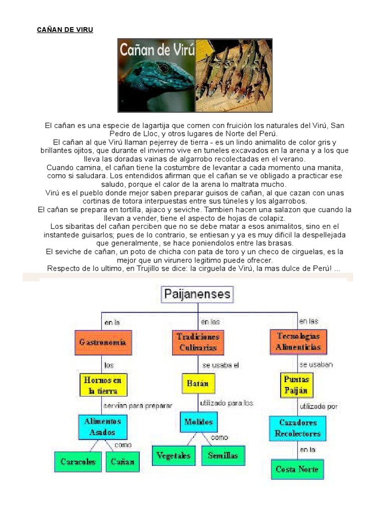 Cultura Paijan | PDF | Naturaleza