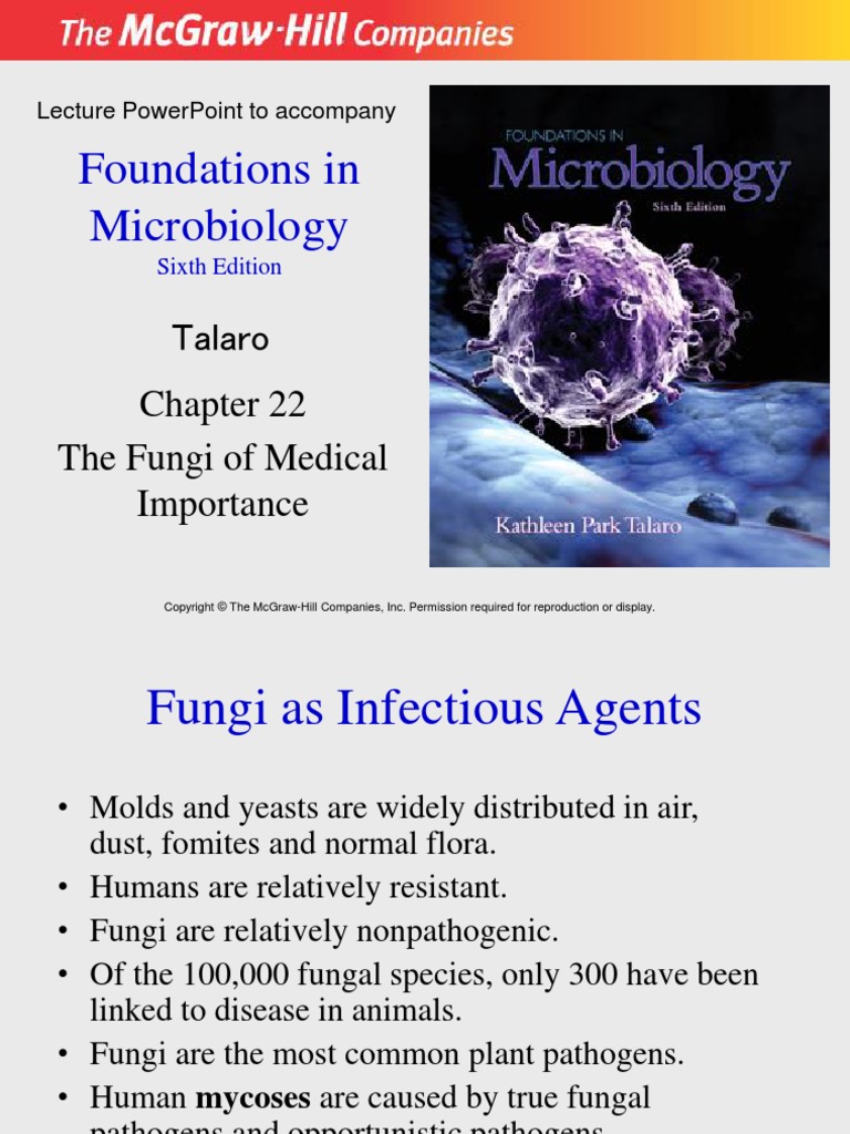 Chapter22_lecture.ppt | Candidiasis | Fungus