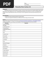 Sheep Brain Dissection | PDF | Brain | White Matter