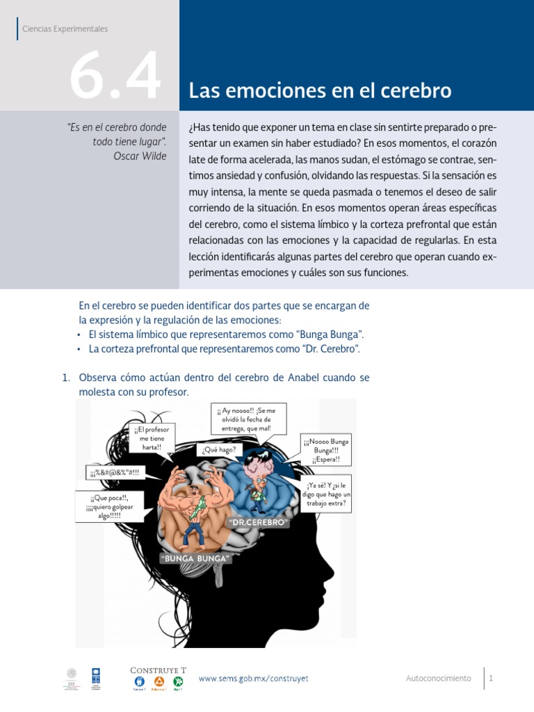 6 4 E Las Emociones En El Cerebro Cexperimentales6 I Pdf