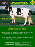Sistema de Producción de Leche en Granjas Bovinas Familiares | PDF | Vacas | Leche