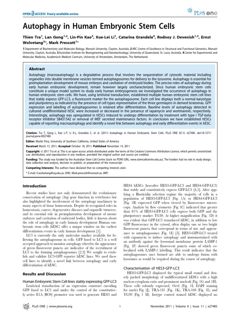 Autophagy | PDF | Autophagy | Cellular Differentiation