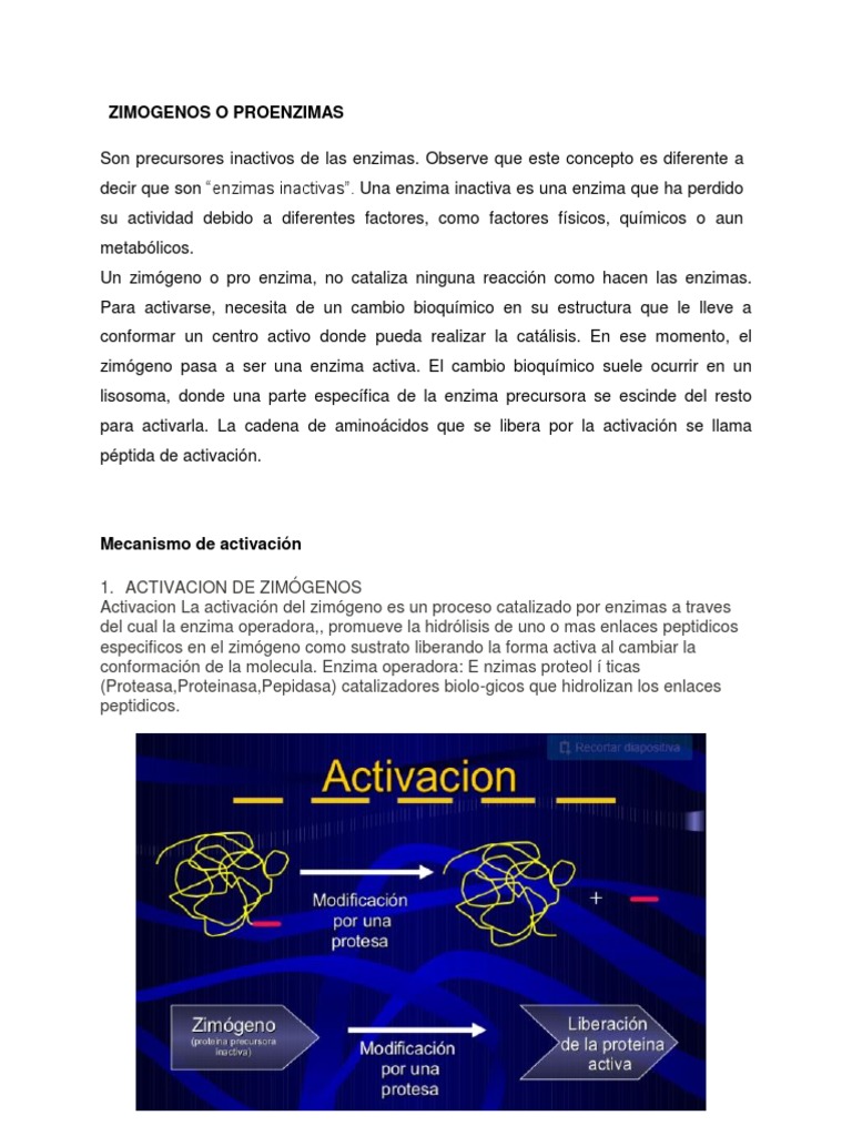 Zimógenos: Activación y Función | PDF | Salud y bienestar