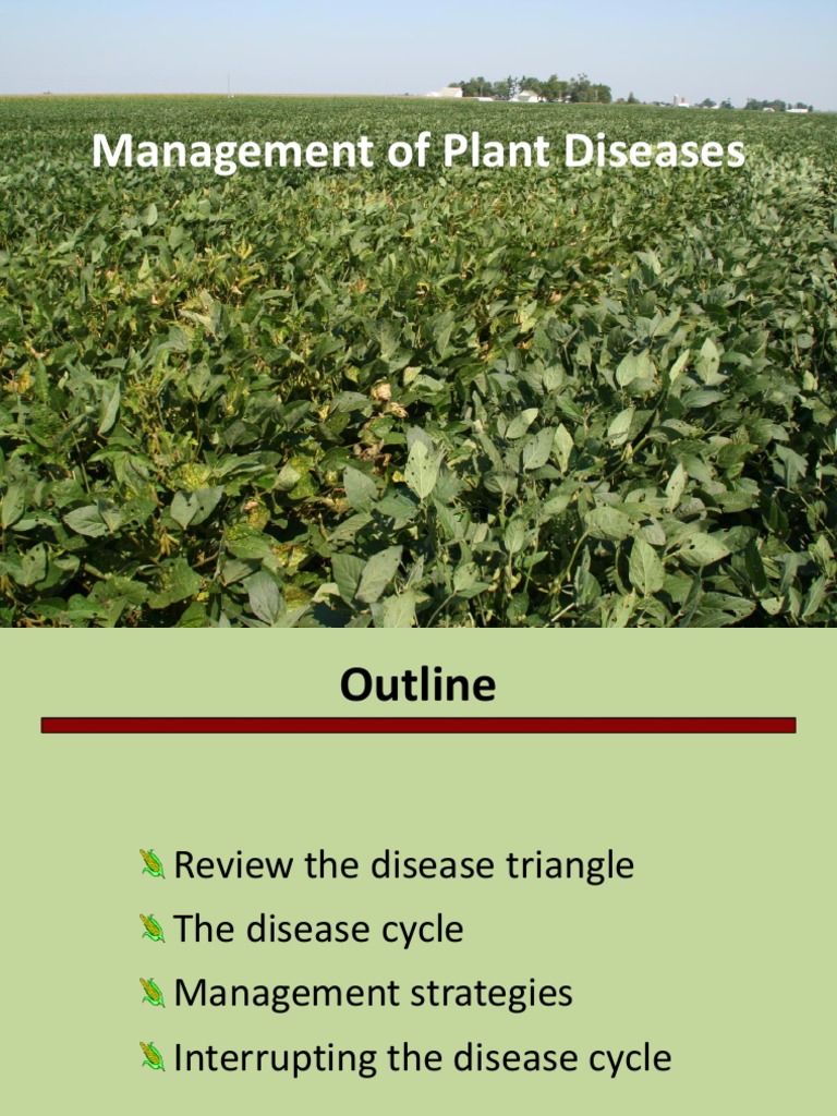 09 Managing Plant Diseases | PDF | Plant Pathology | Horticulture And ...
