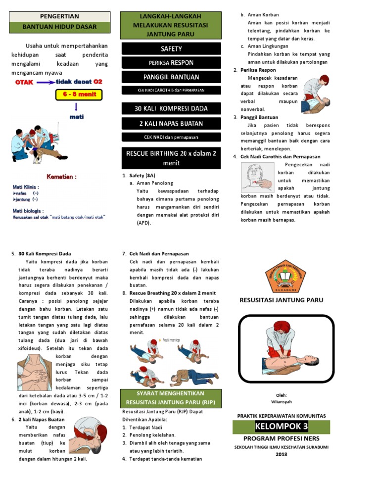 Leaflet RJP (Viliansyah) | PDF