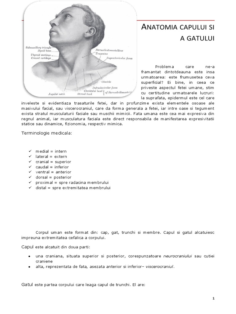 4.anatomia Capului | PDF
