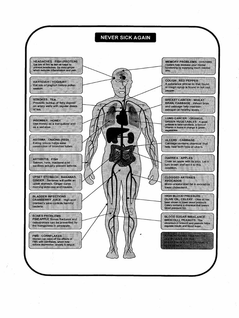 Never Sick Again | PDF