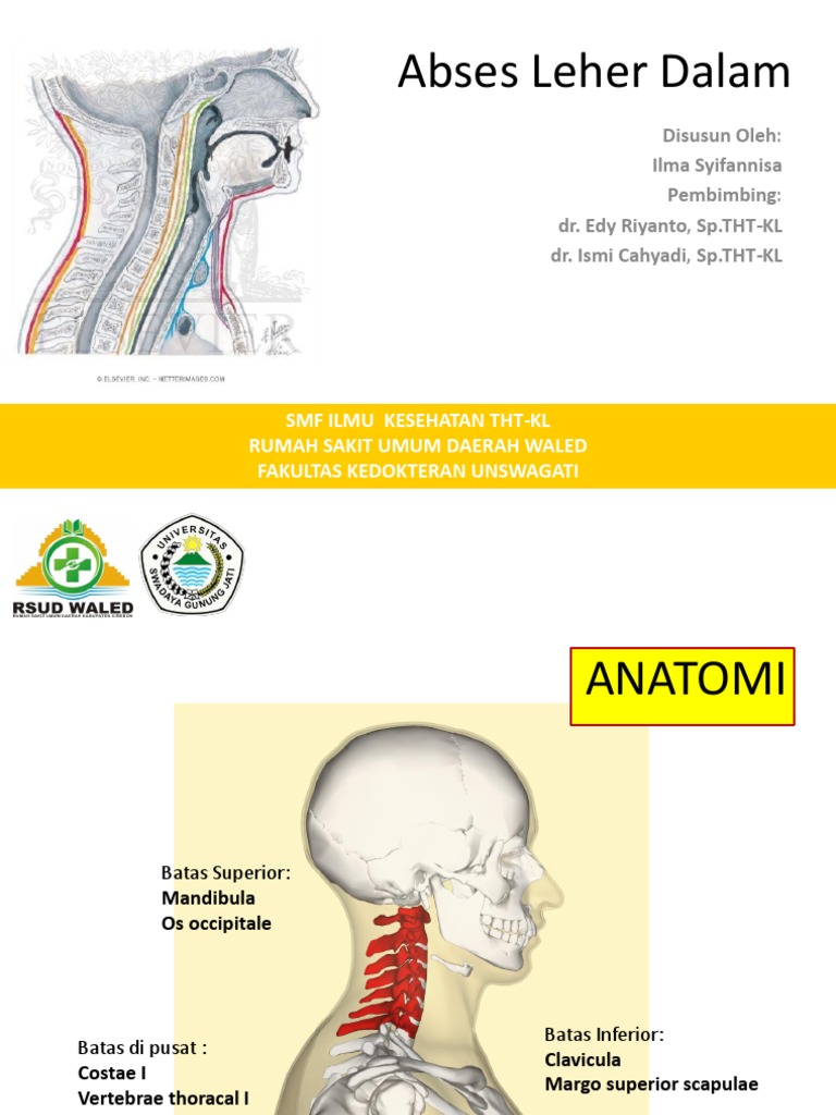 Abses Leher Dalam | PDF | Kajian Bahasa Asing | Sains & Matematika