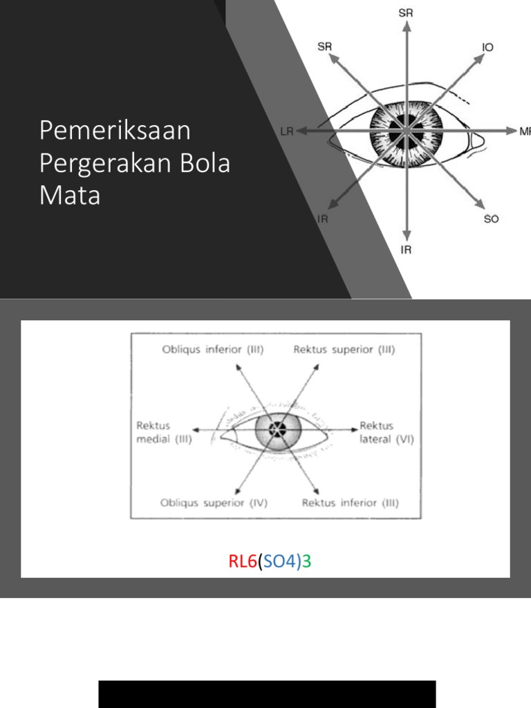 Pemeriksaan Pergerakan Bola Mata | PDF