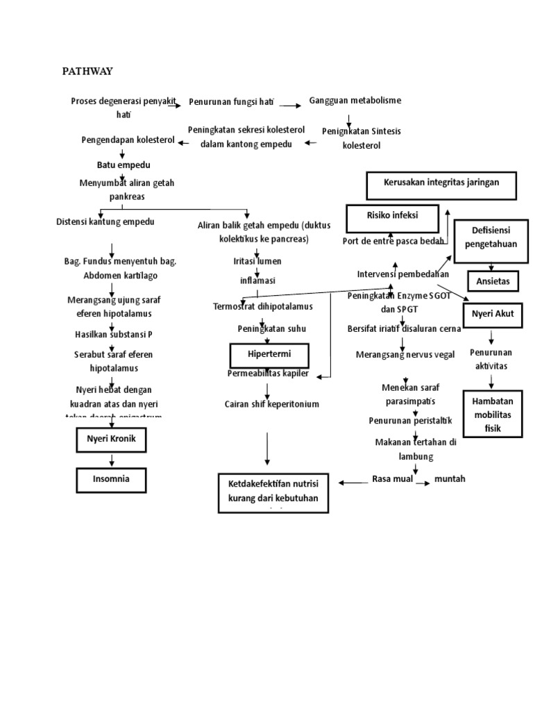 Pathway-Kolelitiasis 1 Print | PDF