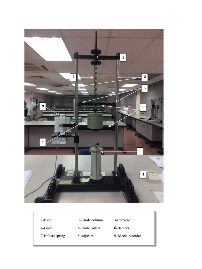 Free Vibration Experiment (Nabil) | PDF | Frequency | Experiment