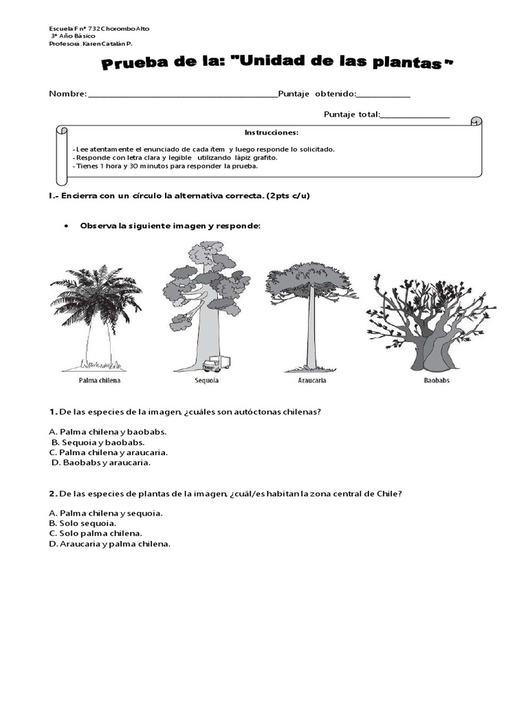 Conociendo Las Plantas PDF | PDF | Plantas | Carbón