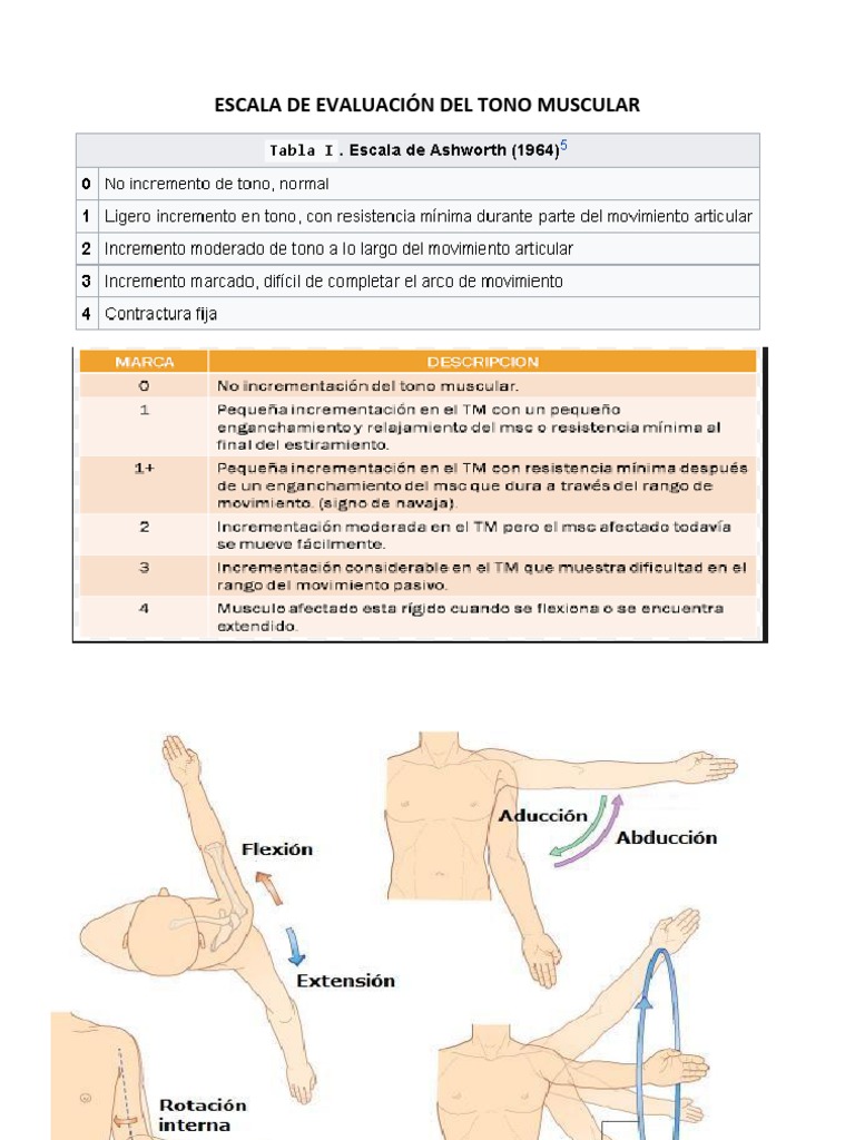 Escala de Evaluación Del Tono Muscular