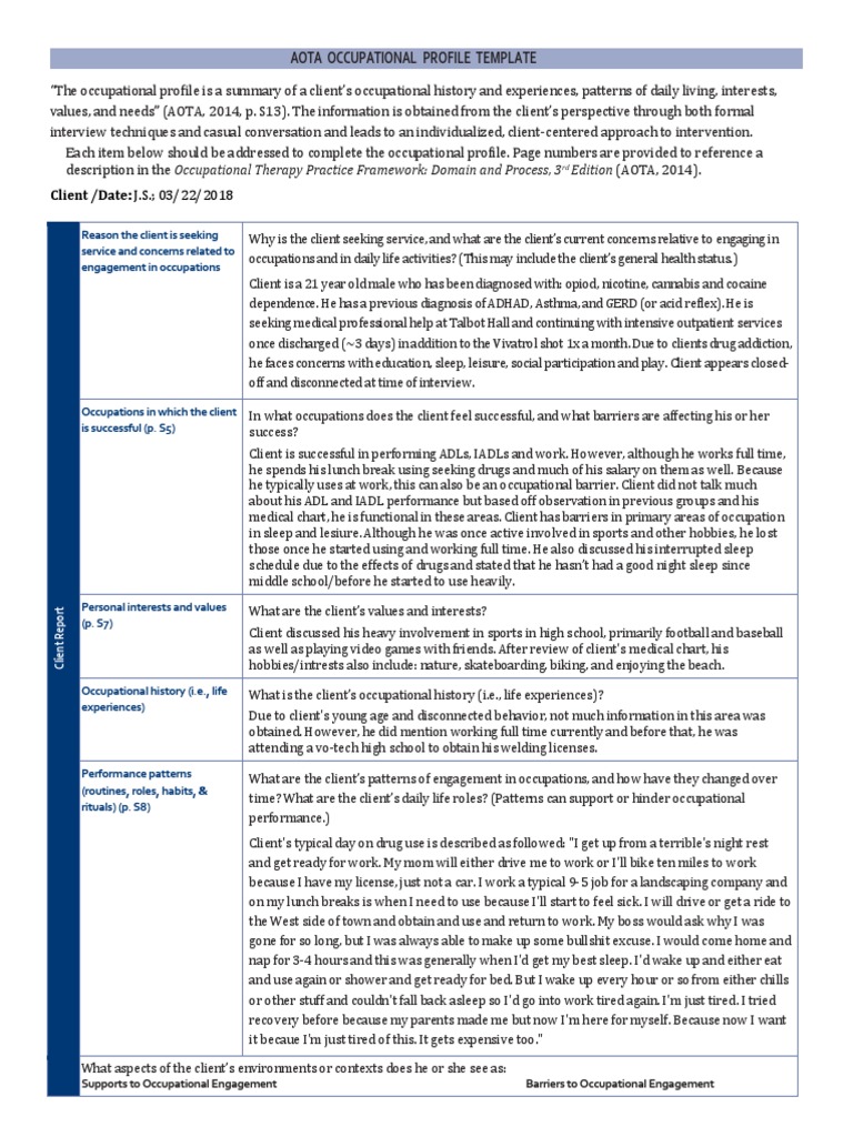 Ot Client Profile | PDF | Occupational Therapy | Substance Dependence