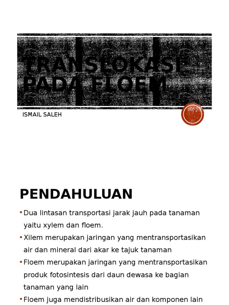 Pertemuan 11 Translokasi Pada Floem | PDF