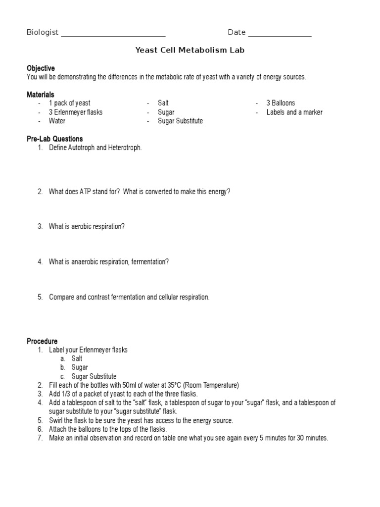 Yeast Metabolism Lab Experiment Guide | PDF | Yeast | Cellular Respiration