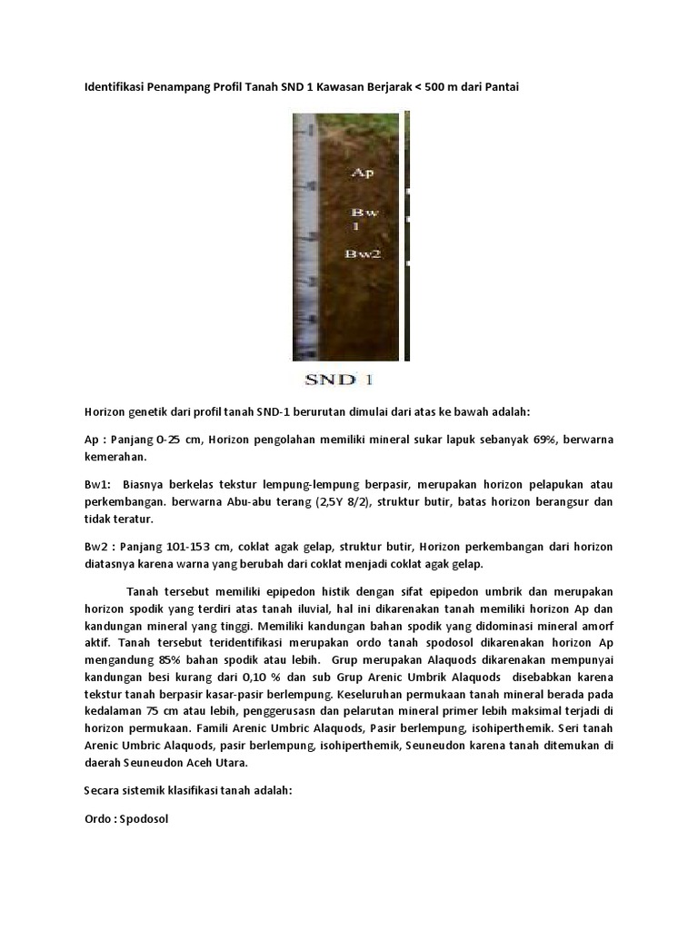 Horizon Genetik Dari Profil Tanah SND | PDF