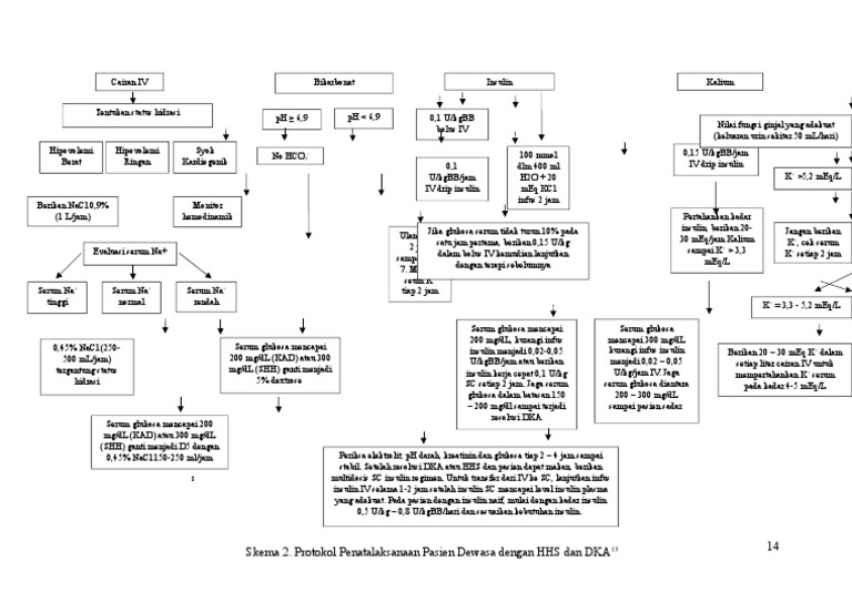 Algortime Tatalaksana HHS Dan KAD | PDF