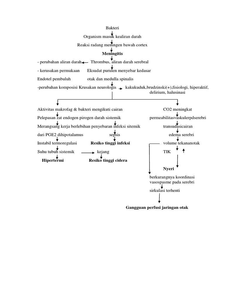 Pathway Meningitis | PDF
