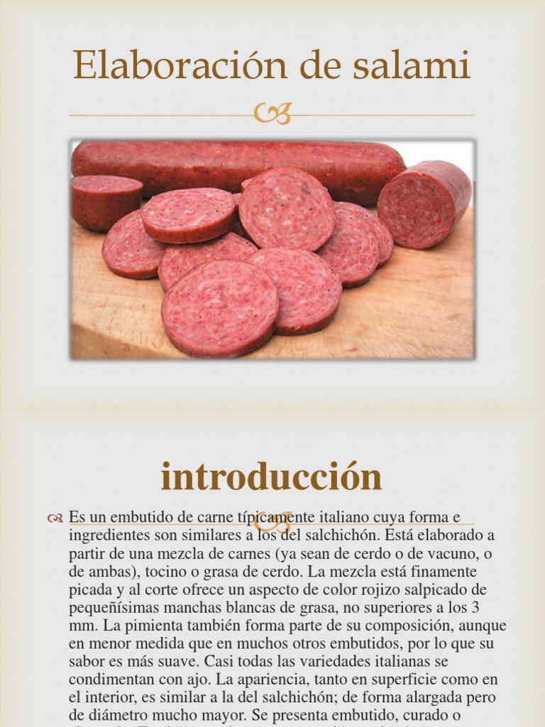 Proceso de Elaboración del Salami | PDF | Comida y bebida | Carne