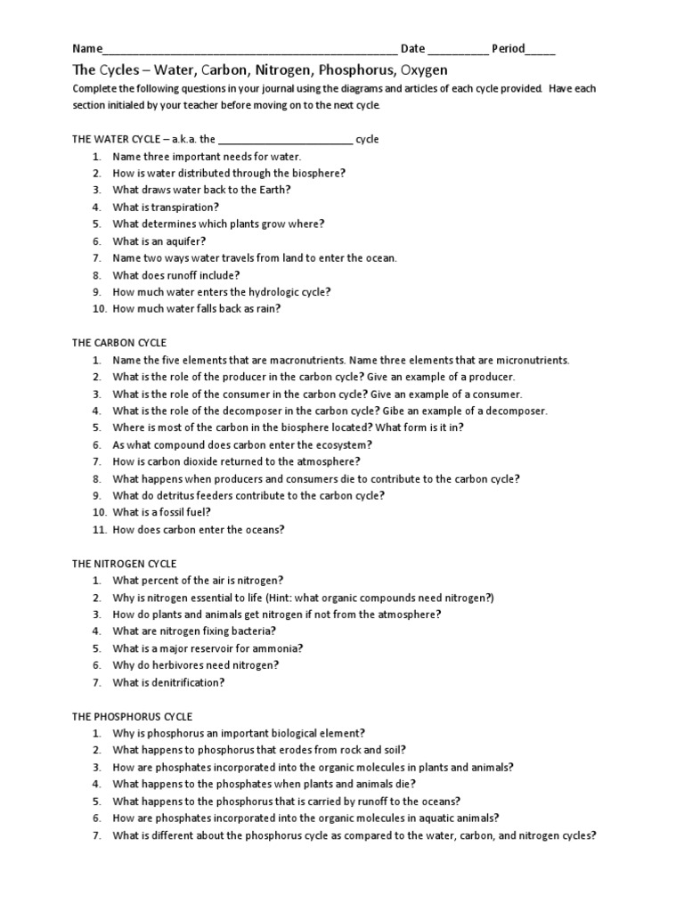 The Cycles Questions Rewritten From Original Worksheet | PDF | Carbon ...