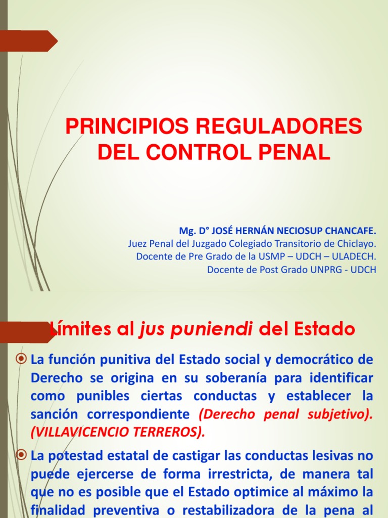Principios Del Control Penal | Castigos | Derecho penal