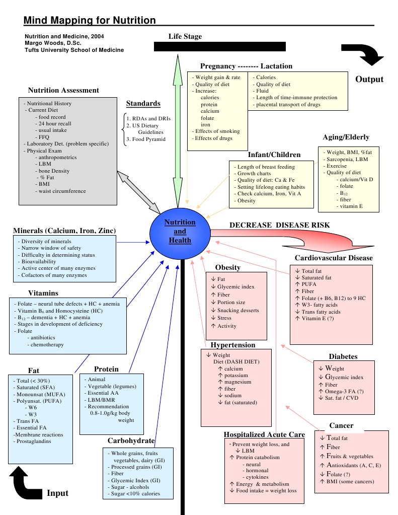 Nutrition Mind Mapping Overview | PDF | Wellness