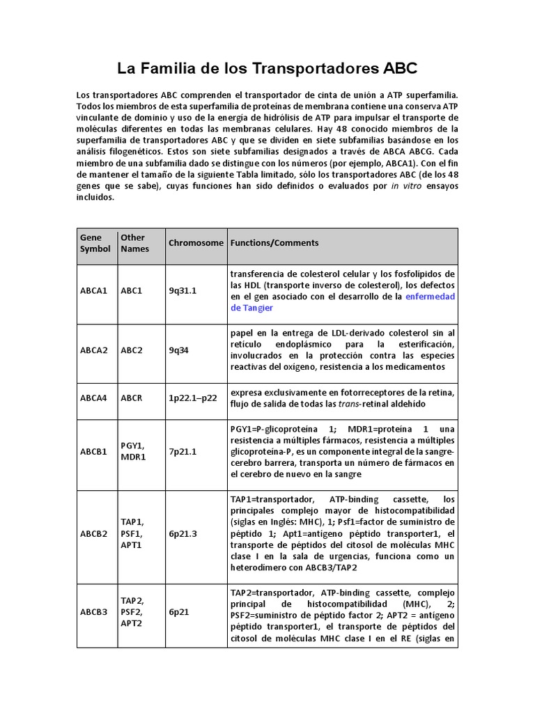 Introducción a los Transportadores ABC | PDF | Complejo mayor de ...