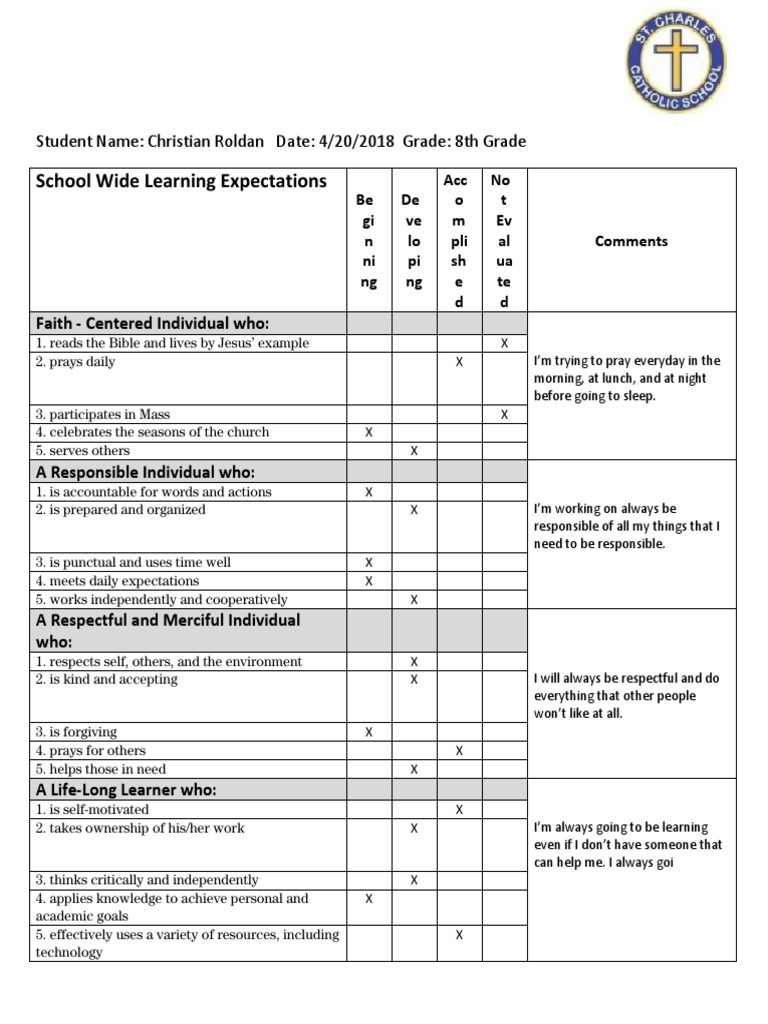 Christian Roldan Cota - Sle Rubric Formatted | PDF | Pedagogy | Learning