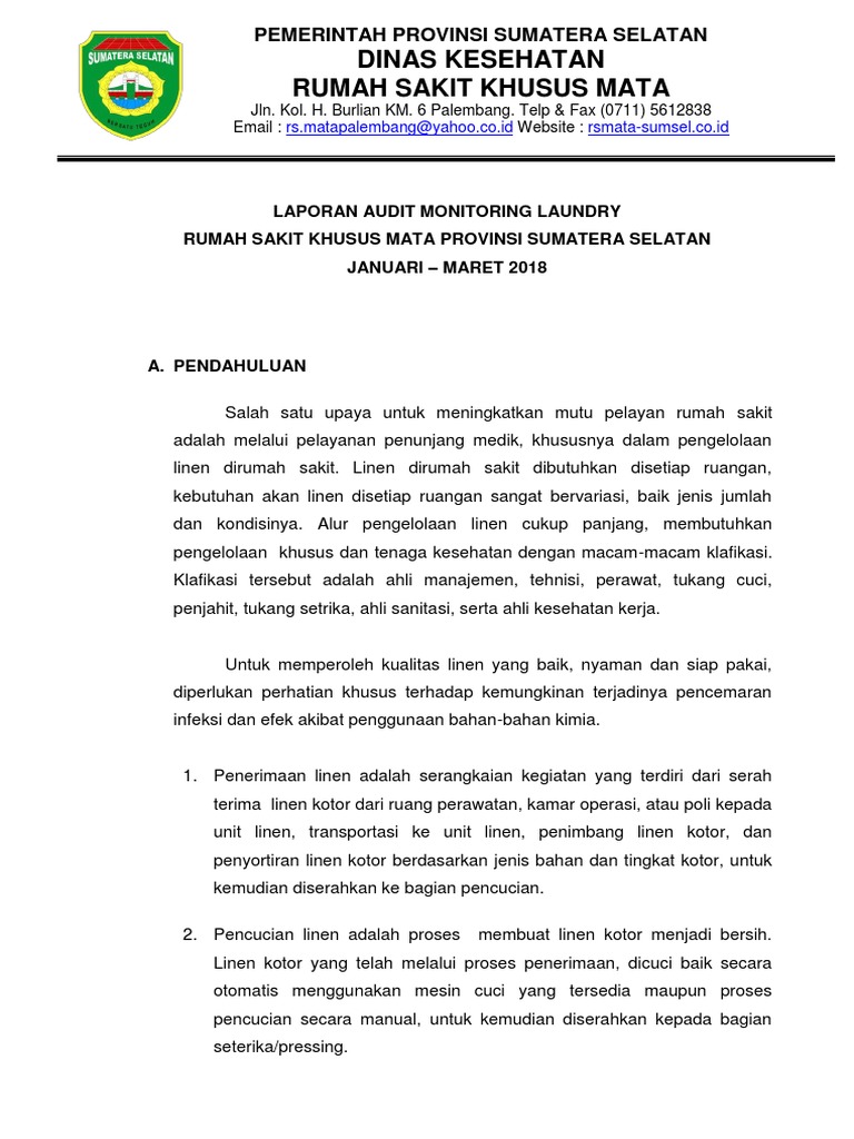Laporan Audit Laundry RS Khusus Mata | PDF | Bisnis