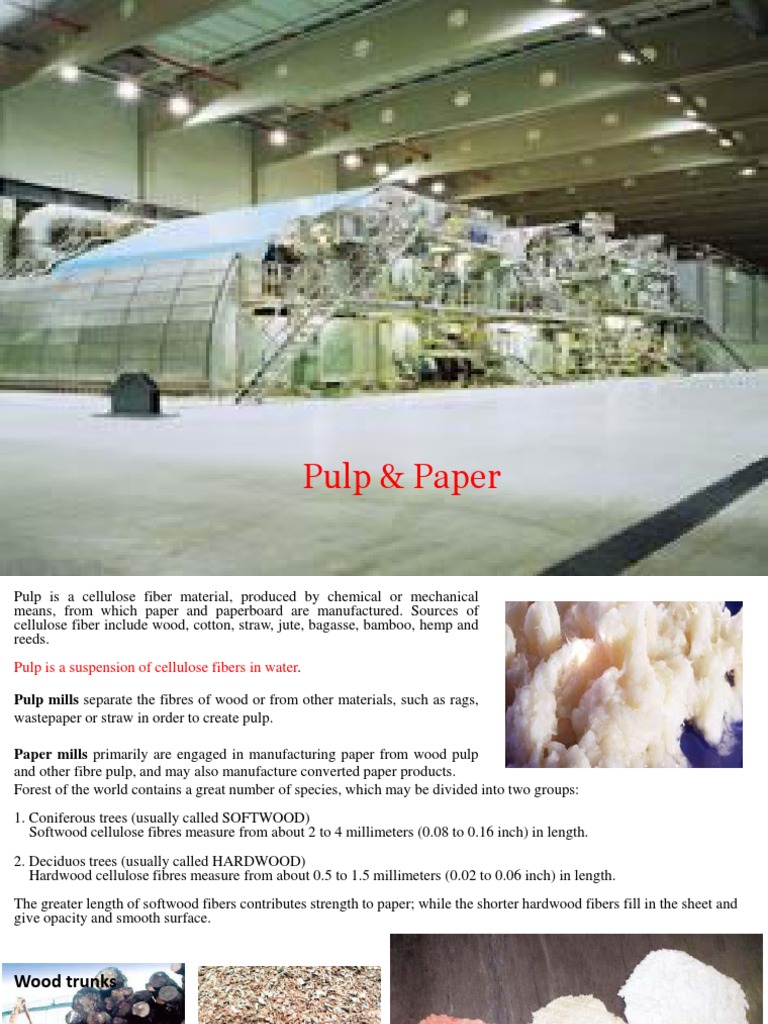 Paper Pulp | PDF | Pulp (Paper) | Paper