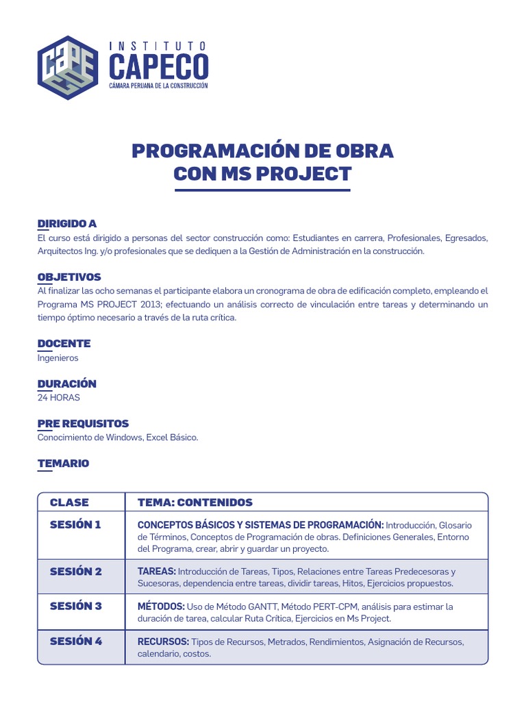 Programacion de Obra Con Ms Project | PDF | Informática | Software