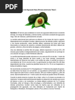 Manejo Agronómico Del Cultivo de Aguacate | PDF | Aguacate | Fertilizante