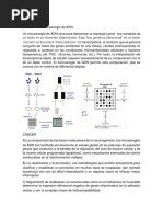 Microarreglos en Biología Molecular | PDF | Adn Microarray | Cáncer