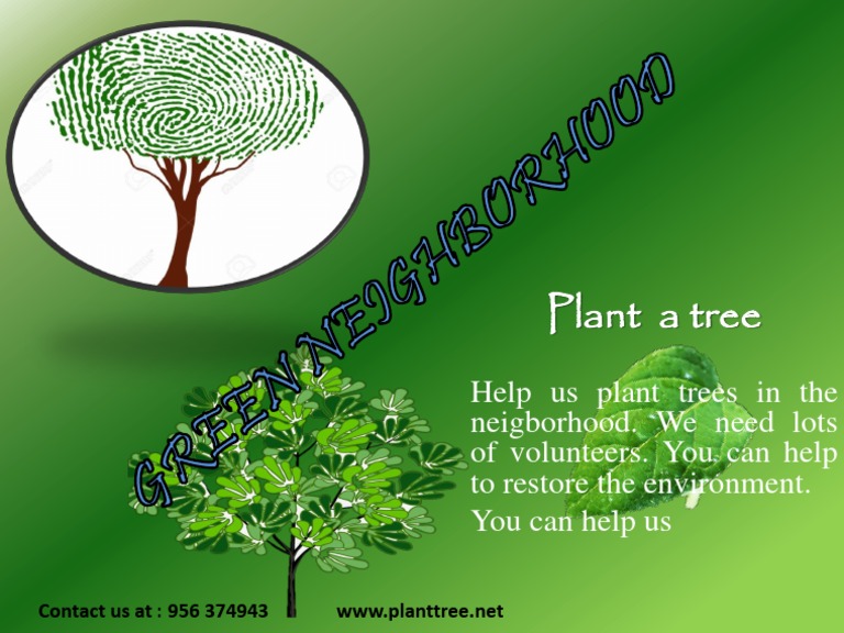 Plant Pdf