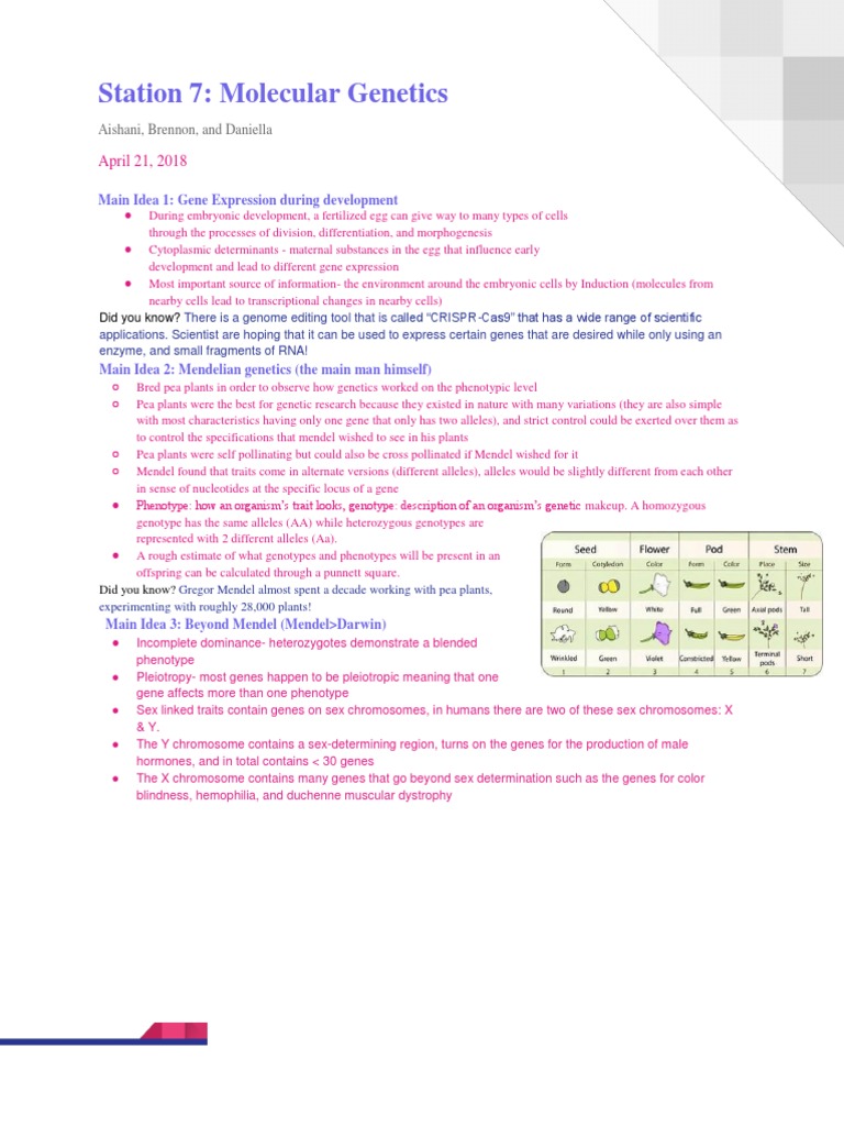 Brochure | Download Free PDF | Allele | Genetics