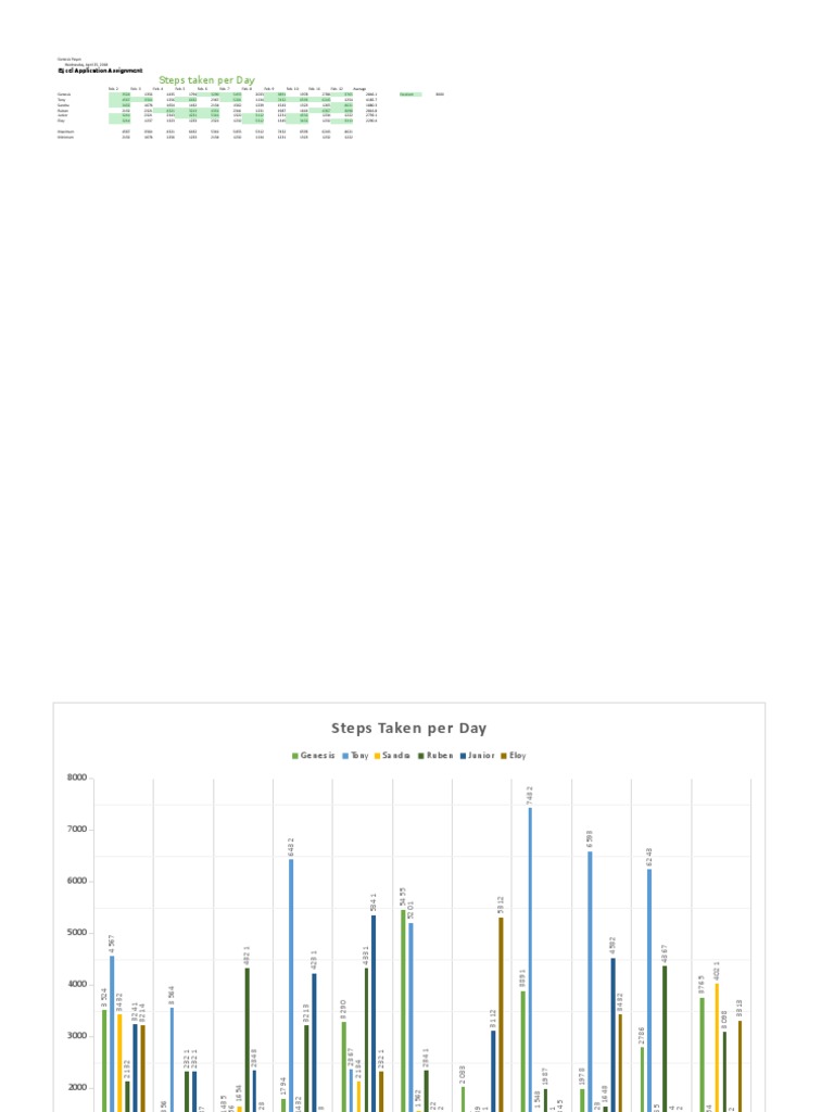 Excel Application Assignment Pdf