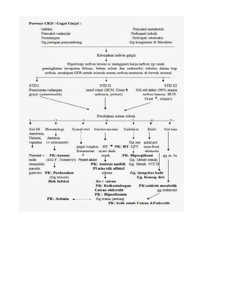 Pathway CKD