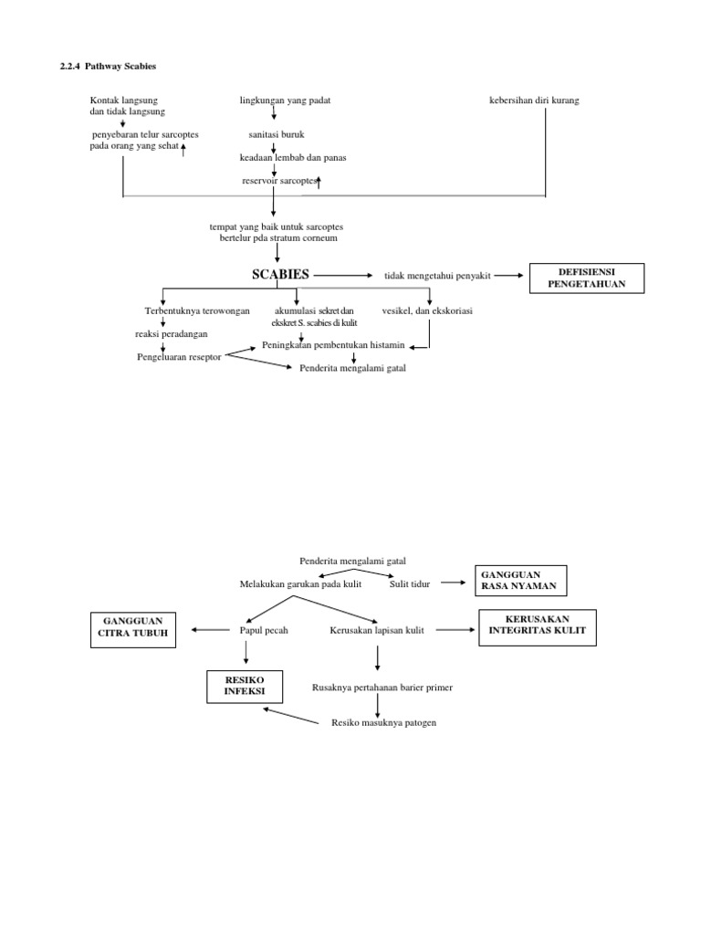 Pathway Scabies | PDF