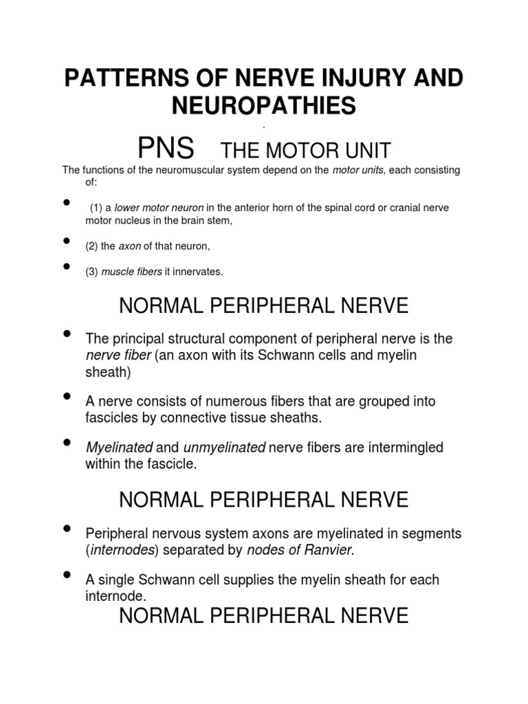 Patterns of Nerve Injury and Neuropathies: The Motor Unit | PDF | Nerve ...