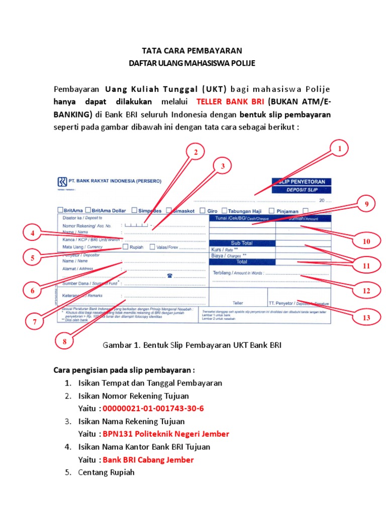 Pemba Ya Ran Bri | PDF