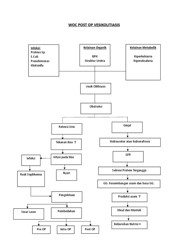 Woc Post Op Vesikolitiasis | PDF