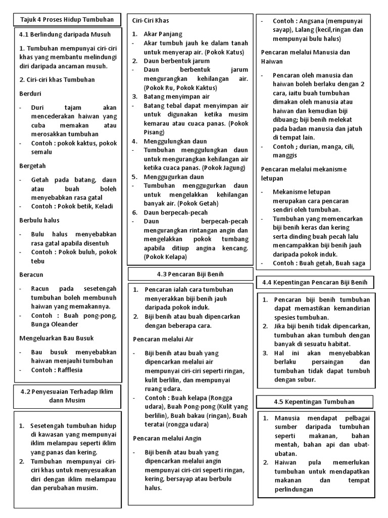 Tahun 5 Nota Tuisyen | PDF